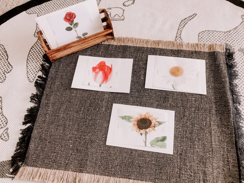 5 DIY Nature Themed Montessori Activities for Babies - Baby Tour Guide
